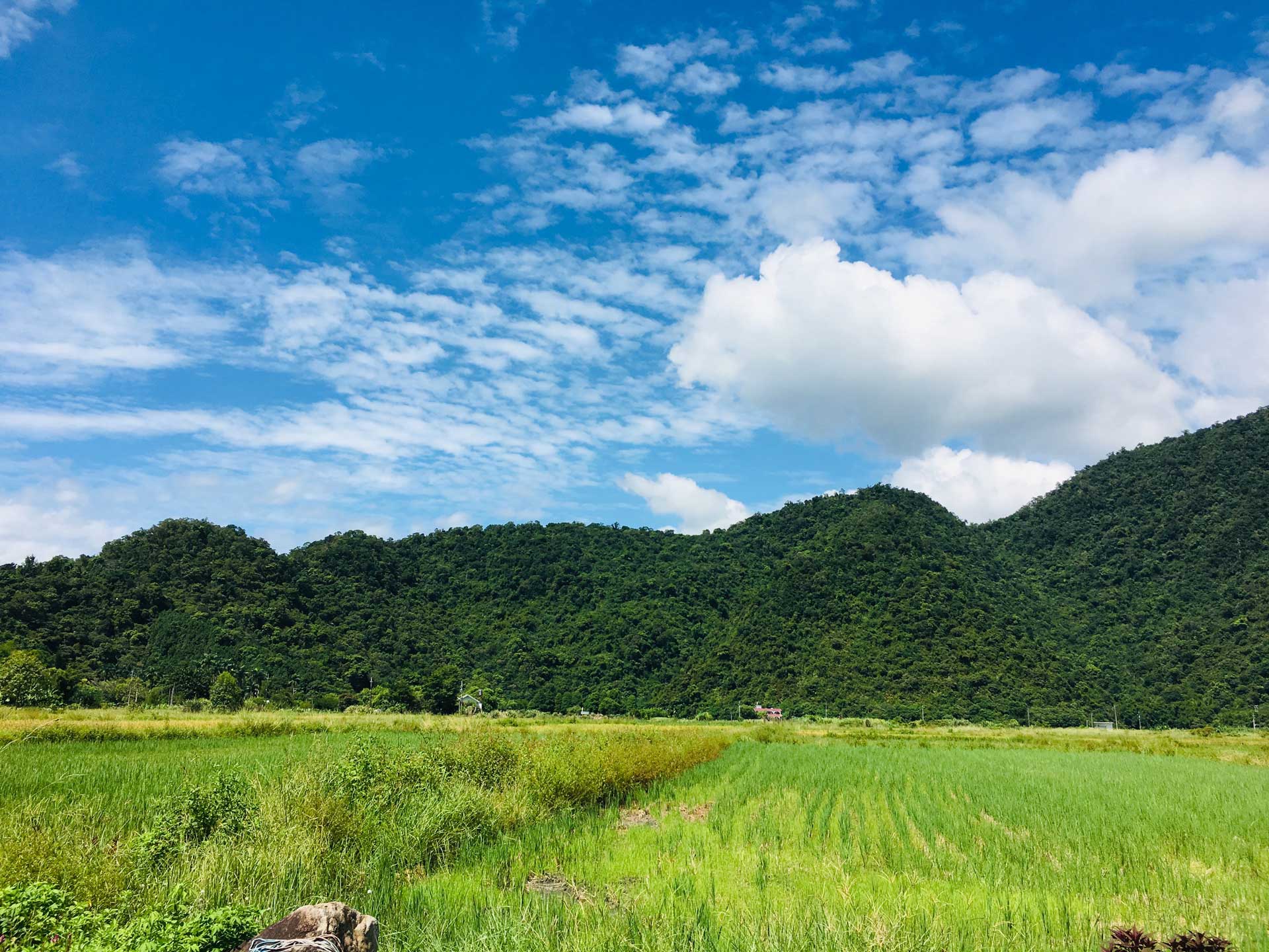 A Two-Day Tour to the Lingzhi & Beauty Bath Spring in Hanxi - Leading ...